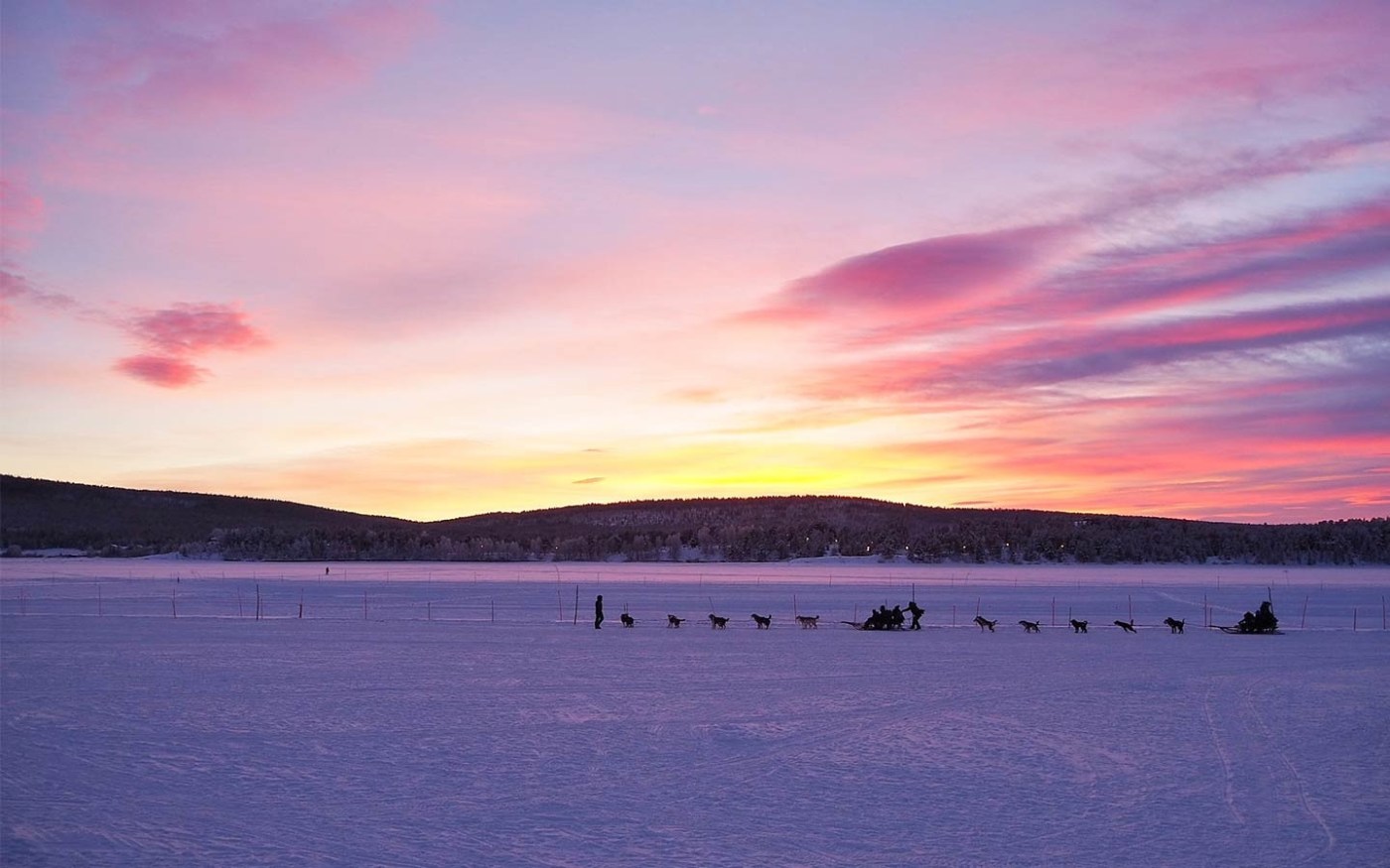 Northern Lights Dog Sled Tour Kiruna Guidetur northern-lights-dog-sled-tour-kiruna-guidetur
