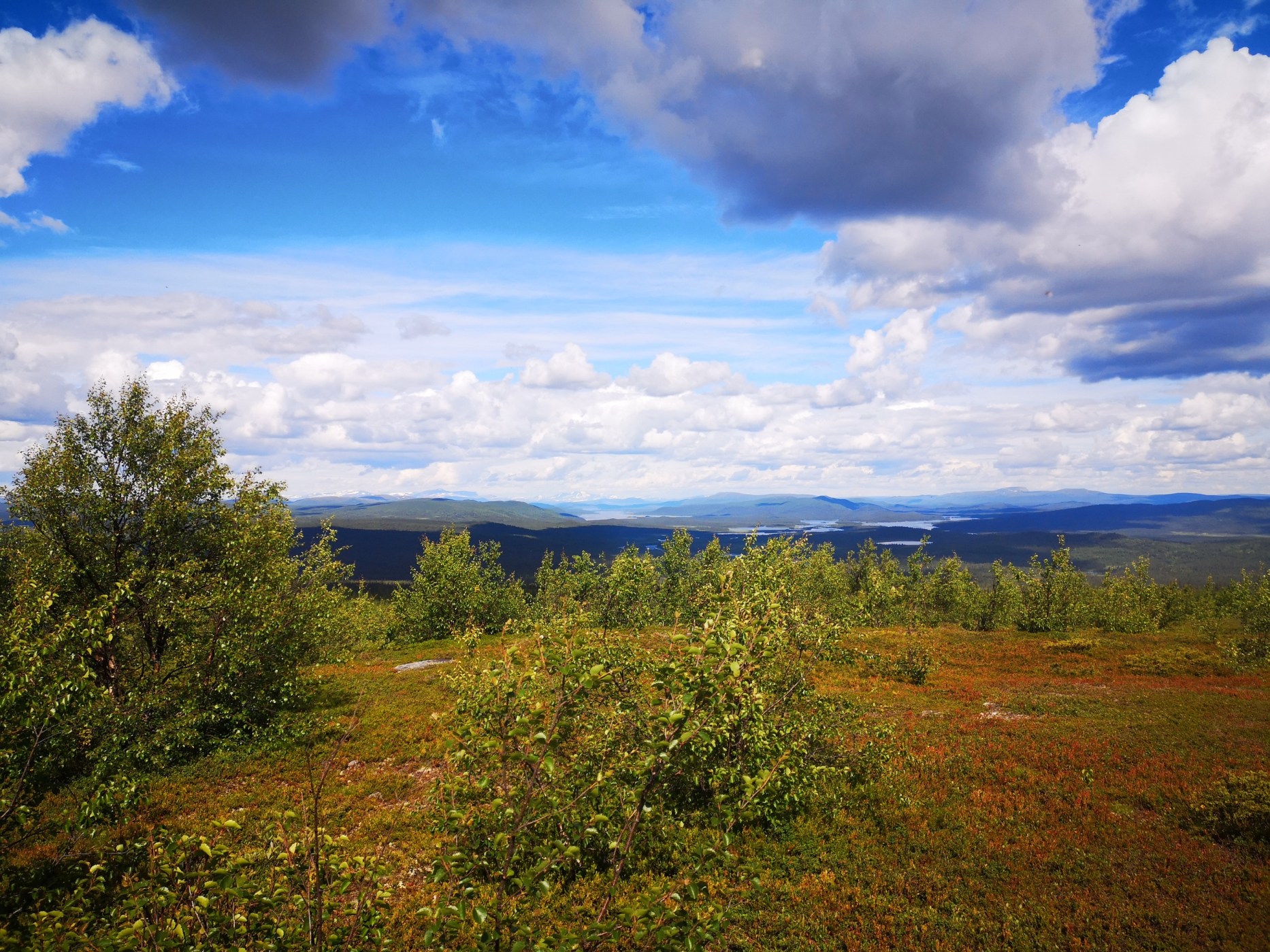 Hiking Tours | Kiruna Guidetur